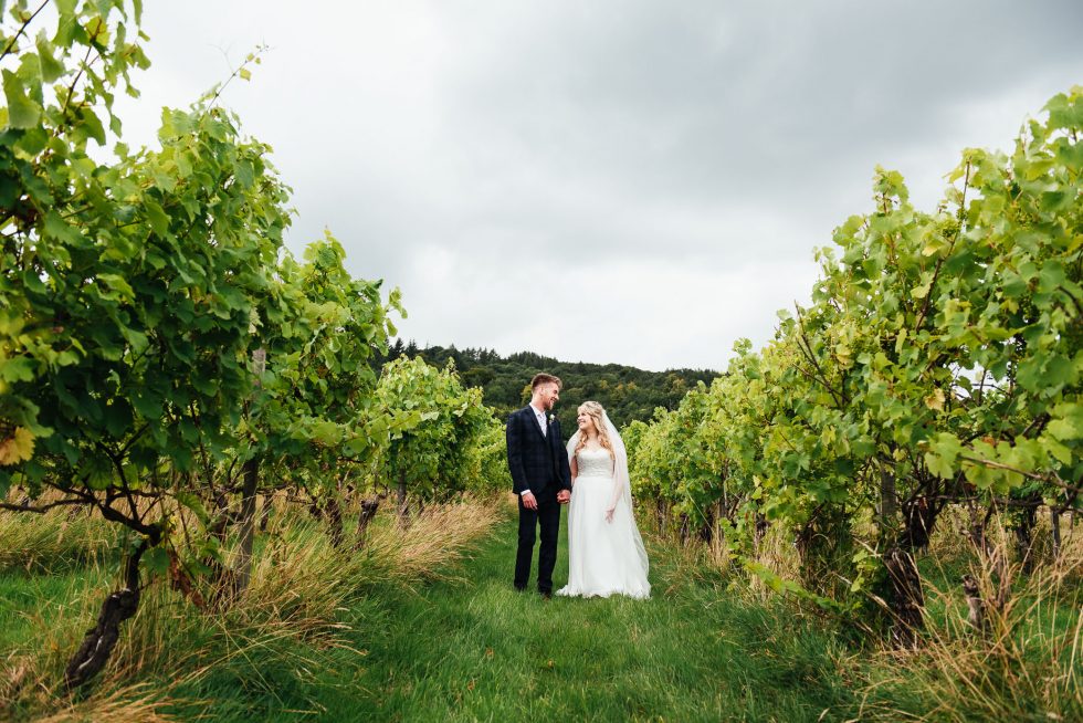 Surrey Wedding Photography - Denbies Wine Estate Wedding